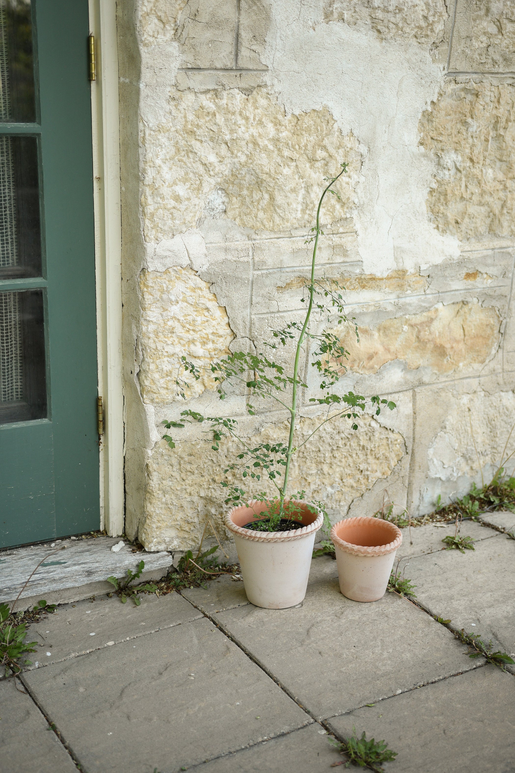 Emilia Flower Pot - 16cm - Rosa – June Home Supply